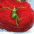 Artes de Yarrow Cheney para o filme The Grinch, da Illumination ...